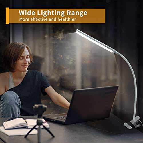 ECHEAIO Desk lamp, Desk Lamps for Home Office, Eye Caring Reading Lamp, 13W Clip on Light 3 Color Modes & 10 Brightness Levels Flexible Gooseneck Light for Headboard Piano Desk Bedside Reading