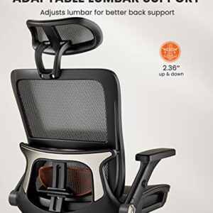 ErGear Office Chair, Ergonomic Office Chair, High Back Desk Chair with Headrest and 5D Flip-up Arms, Adjustable Lumbar Support Computer Chair, Swivel Mesh Chair