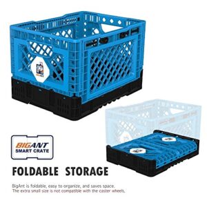 BIGANT Heavy Duty Collapsible & Stackable Plastic Milk Crate - IP403026, 26 Quarts, Small Size, Blue, Set of 1, Snap Lock Foldable Industrial Garage Storage Bin Container Utility Basket