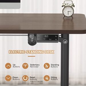 Dripex Electric Standing Desk Height Adjustable Computer Table-43 x 24 Inches Durable Large Workstation with Mouse Pad for Home Office