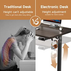 Dripex Electric Standing Desk Height Adjustable Computer Table-43 x 24 Inches Durable Large Workstation with Mouse Pad for Home Office