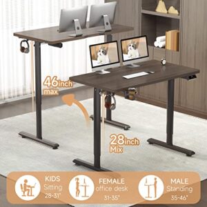 Dripex Electric Standing Desk Height Adjustable Computer Table-43 x 24 Inches Durable Large Workstation with Mouse Pad for Home Office