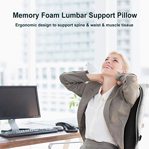 Newgam Lumbar Support Pillow/Back Cushion,Memory Foam Orthopedic Backrest with Breathable 3D Mesh for Car Seat,Office/Computer Chair,Wheelchair and Recliner,Ergonomic Design for Back Pain Relief-Black