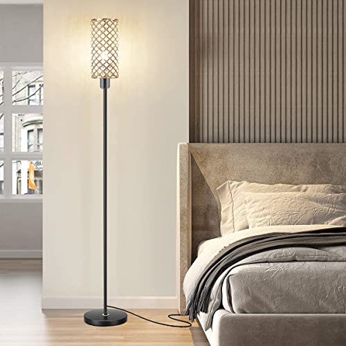 Assemer Touch Crystal Floor Lamp,Modern Sliver Standing Lamps with 3 CCT LED Bulb,Tall Pole Accent Lighting for Living Room,Girl Bedroom,Home Decor,Office