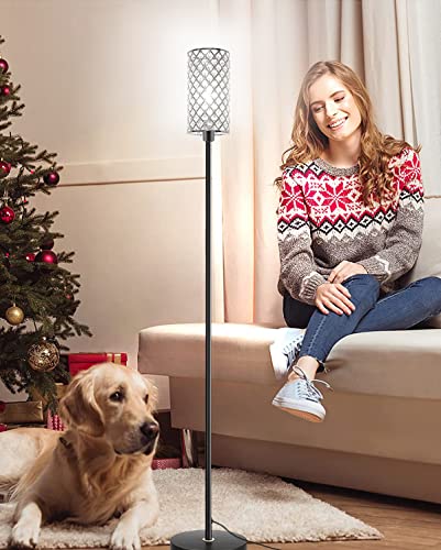 Assemer Touch Crystal Floor Lamp,Modern Sliver Standing Lamps with 3 CCT LED Bulb,Tall Pole Accent Lighting for Living Room,Girl Bedroom,Home Decor,Office