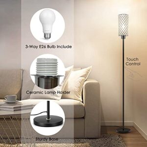 Assemer Touch Crystal Floor Lamp,Modern Sliver Standing Lamps with 3 CCT LED Bulb,Tall Pole Accent Lighting for Living Room,Girl Bedroom,Home Decor,Office