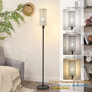 Assemer Touch Crystal Floor Lamp,Modern Sliver Standing Lamps with 3 CCT LED Bulb,Tall Pole Accent Lighting for Living Room,Girl Bedroom,Home Decor,Office