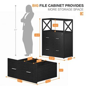 Raybee File Cabinets for Home Office 2 Drawer Wood File Cabinet with Lock Lateral File Cabinet Filing Cabinet Office Storage File Cabinet,for Letter/Legal / A4 Size, Black