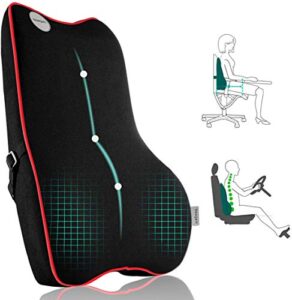 newgam lumbar support pillow,pure memory foam back cushion orthopedic backrest with breathable 3d mesh for car seat,office chair,computer chair,wheelchair and recliner.ergonomic design (red edge)