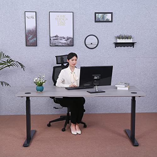 ApexDesk AX7133GRY Elite Pro Series Electric Height Adjustable Standing Desk (71", Grey Top/Black Frame)