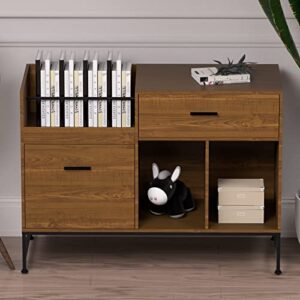 Visionwards Wood Filing Cabinet 2 Drawer, Lateral File Cabinet for Letter Size, Printer Stand with Open Storage Shelves, File cabinets for Home Office, Black/Rustic Brown