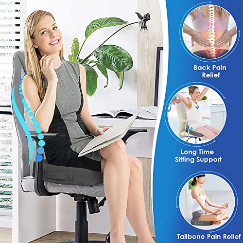 TushGuard Seat Cushion for Office Chair Memory Foam Non-Slip Desk Chair Cushion Back, Coccyx, Sciatica, Tailbone Pain Relief Butt Pillow for Office Chair, Car, Wheelchair