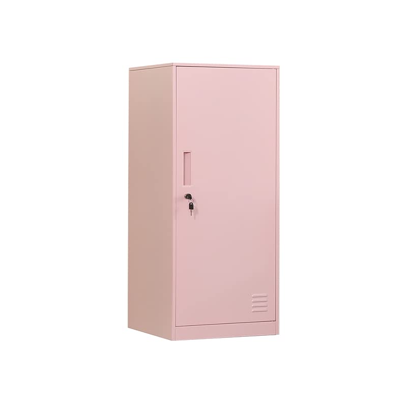 DAYTOYS 1 Door Metal Vertical Storage Locker for Kids Bedroom, Children Room, School, Office, Home,Stackable Steel Storage Cabinet for Toys, Clothes & Sports Equipment,Anti-Falling Device. (1D, Pink)