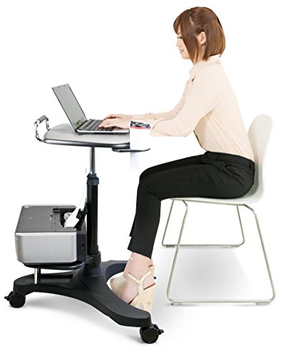 Aidata Ergonomic Sit-Stand Mobile Laptop Cart Work Station with Printer Shelf. with Built in Cup Holder and Mouse Pad. Black (Model: LPD009P)