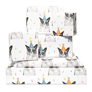 central 23 birthday wrapping paper – cats in party hats – 6 sheets of wrapping paper for her – for girls and boys – cat gift wrap for pet owner with tags – recyclable