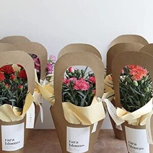 Exasinine 20 Pcs Hanging Kraft Paper Bouquet Flower Paper Bags Gift Bags for Home Decoration