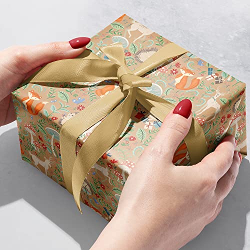 Jillson Roberts 6-Roll Count Baby Gift Wrap Available in 5 Different Designs, Krafty Fox