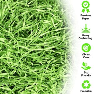 Easter Grass Basket Filler 1LB Recyclable Paper Shred Crinkle Shredded Paper for Easter Basket Stuffers Gift Wrapping & Basket Filling (Green)