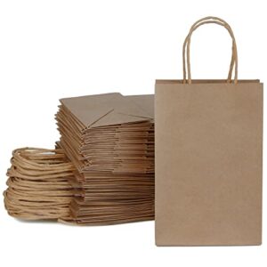 JOYIN 100 PCS Kraft Paper Bags Christmas Gift Bags with Handles, Recyclable Paper Sack, Paper Shopping Bags, Retail Merchandise Bags