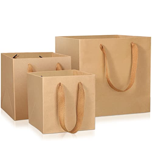 Zonon 30 Pack Brown Paper Bags with Handles Gift Paper Bags Reusable Grocery Shopping Bags Business Packaging Bags, Take out Party Birthday Merchandise Retail Bags Craft (10 Inch, 8 Inch, 6 Inch)