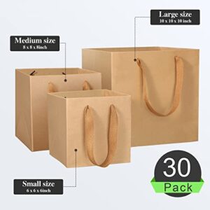 Zonon 30 Pack Brown Paper Bags with Handles Gift Paper Bags Reusable Grocery Shopping Bags Business Packaging Bags, Take out Party Birthday Merchandise Retail Bags Craft (10 Inch, 8 Inch, 6 Inch)