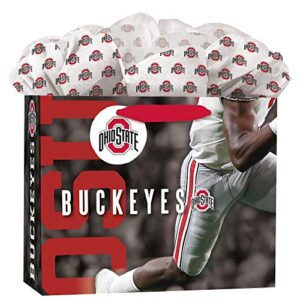 turner licensing ohio state buckeyes medium gift bag gogo, multi