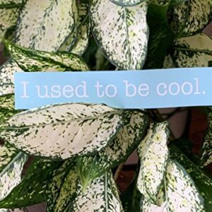 I used to be cool car decal, van decal, parent car decal, mini van, mom mobile, dad wagon