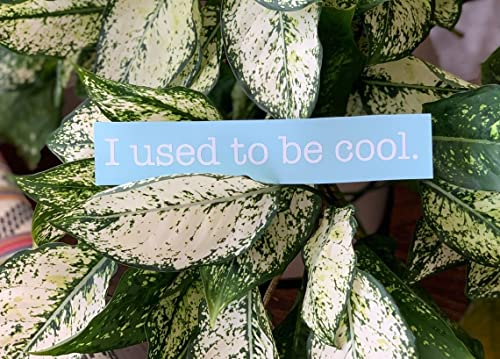 I used to be cool car decal, van decal, parent car decal, mini van, mom mobile, dad wagon