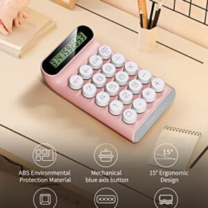 Mechanical Switch Calculator,Pink Cute Calculator,10 Digit Large LCD Display Desktop Calculator Large and Sensitive Button Financial Calculator for Office,Home and School (Pink)