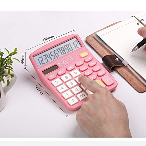 MJWDP 12 Digit Desk Calculator Large Buttons Financial Business Accounting Tool Rose Red Color for Office School