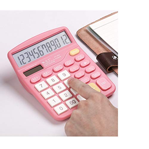 MJWDP 12 Digit Desk Calculator Large Buttons Financial Business Accounting Tool Rose Red Color for Office School