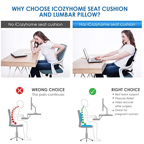 Coccyx Lumbar Support Pillow for Office Desk Chair Memory Foam Car Seat Cushion & Orthopedic Back Pillow for Sitting Help Tailbone Pain, Sciatica and Pressure Relief, Washable Cover