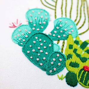 Highkick Embroidery Starter Kits for Adults Beginners with Stamped Pattern, Embroidery Floss + Needles + Hoop, Cactus Series, 3 Pack