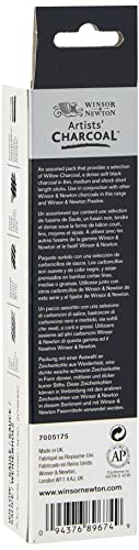 Winsor & Newton Artists' Willow Charcoal, Assorted, Box of 12