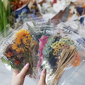 maxleaf transparent waterproof stickers set – 48pcs vintage plants flowers collection big size waterproof stickers for decoration planners scrapbook laptops (dried flowers)