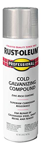 Rust-Oleum 7585838 Spray Paint, 20 Fl Oz (Pack of 1), Cold, 12