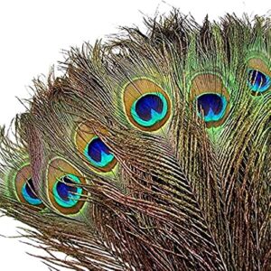 tinawood 10pcs real natural peacock eye feathers 9.8-11.8 inch for diy craft, wedding holiday decoration…