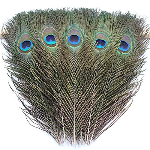 TinaWood 10PCS Real Natural Peacock Eye Feathers 9.8-11.8 inch for DIY Craft, Wedding Holiday Decoration…