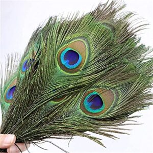 TinaWood 10PCS Real Natural Peacock Eye Feathers 9.8-11.8 inch for DIY Craft, Wedding Holiday Decoration…