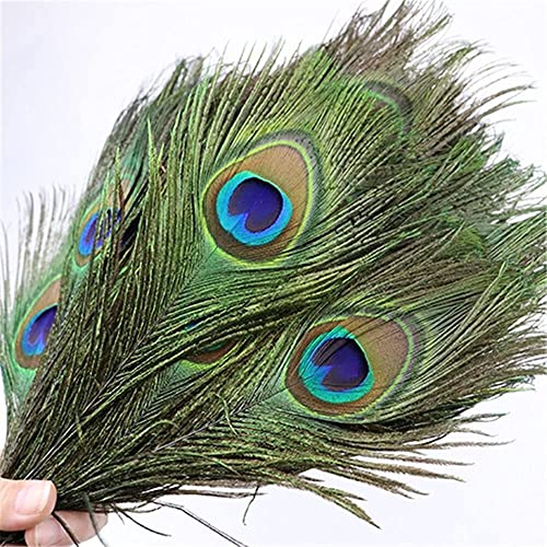 TinaWood 10PCS Real Natural Peacock Eye Feathers 9.8-11.8 inch for DIY Craft, Wedding Holiday Decoration…