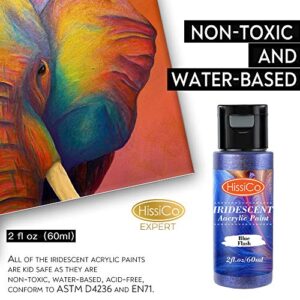 Iridescent Acrylic Paint, Set of 16 Chameleon Colors 60ml 2 OZ Bottles, High Viscosity Shimmer Paint, Non-Toxic and Fade-Resistant for Artists, Beginners and Kids on Rocks, Crafts, Canvas, Wood, Fabric, Ceramic