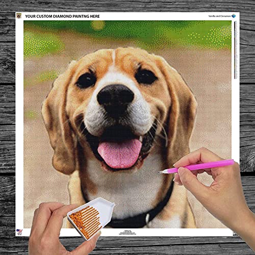 Custom Diamond Painting Kits for Adults 5D DIY - Made in USA - Personalized Diamond Art, Customized Diamond Dotz Kits, Rhinestone Painting , Paint with Diamonds, Square Drill(9.8 INCH / 25 CM)