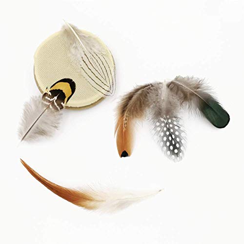 180pcs 6 Style Natural Feathers Assorted Mixed Feathers for Dream Catcher Crafts Decoration (6 Styles/180 Pcs)