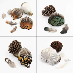 180pcs 6 Style Natural Feathers Assorted Mixed Feathers for Dream Catcher Crafts Decoration (6 Styles/180 Pcs)