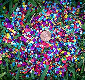 Fiesta Confetti.Value Mexican Colorful Paper Confetti. Jumbo Bag .95lb/425gr.