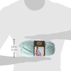 Lion Brand Yarn 135-117 Hometown Yarn, Louisville Julep (1 Skein)