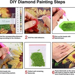 DaiCur Diamond Painting Kits, 9 Pack Gnome Diamond Art Kits for Adults, DIY 5D Round Full Drill Crafts Diamond dotz Home Wall Decor Gifts (12x16inch)