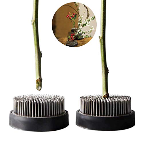 JUSTDOLIFE Flower Frogs Stainless Floral Frogs Kenzan Flower Vase Round Metal Flower Arranger Tool Pin Holder Ikebana Flower Pin Frogs for Vase Flower Arrangements Home DIY Craft