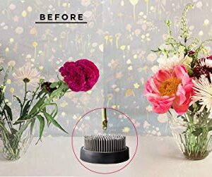 JUSTDOLIFE Flower Frogs Stainless Floral Frogs Kenzan Flower Vase Round Metal Flower Arranger Tool Pin Holder Ikebana Flower Pin Frogs for Vase Flower Arrangements Home DIY Craft