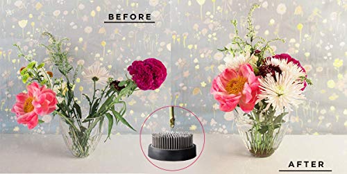 JUSTDOLIFE Flower Frogs Stainless Floral Frogs Kenzan Flower Vase Round Metal Flower Arranger Tool Pin Holder Ikebana Flower Pin Frogs for Vase Flower Arrangements Home DIY Craft